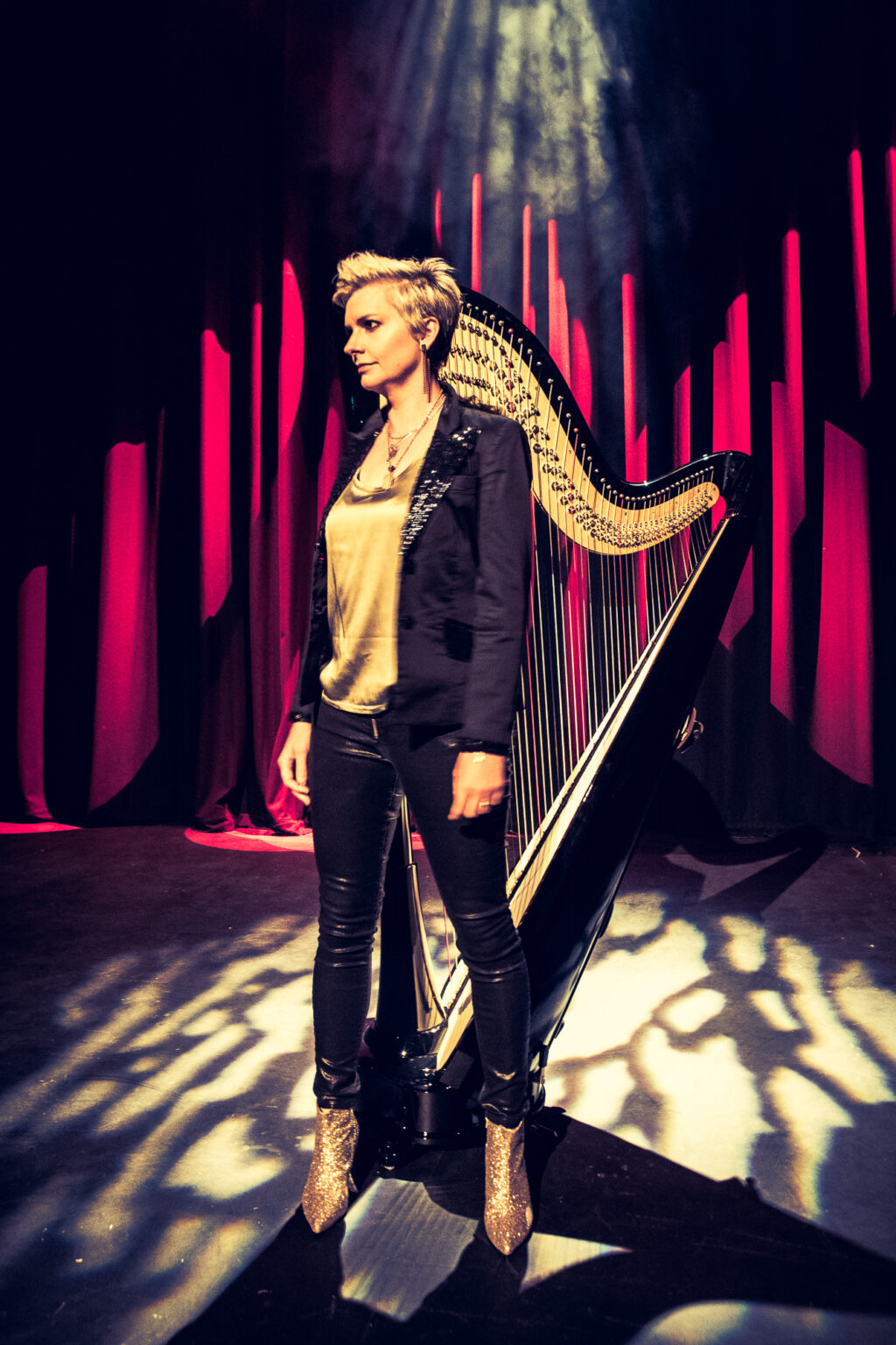 Catrin Finch: The Story So Far - EVI | Ebbw Vale Institute