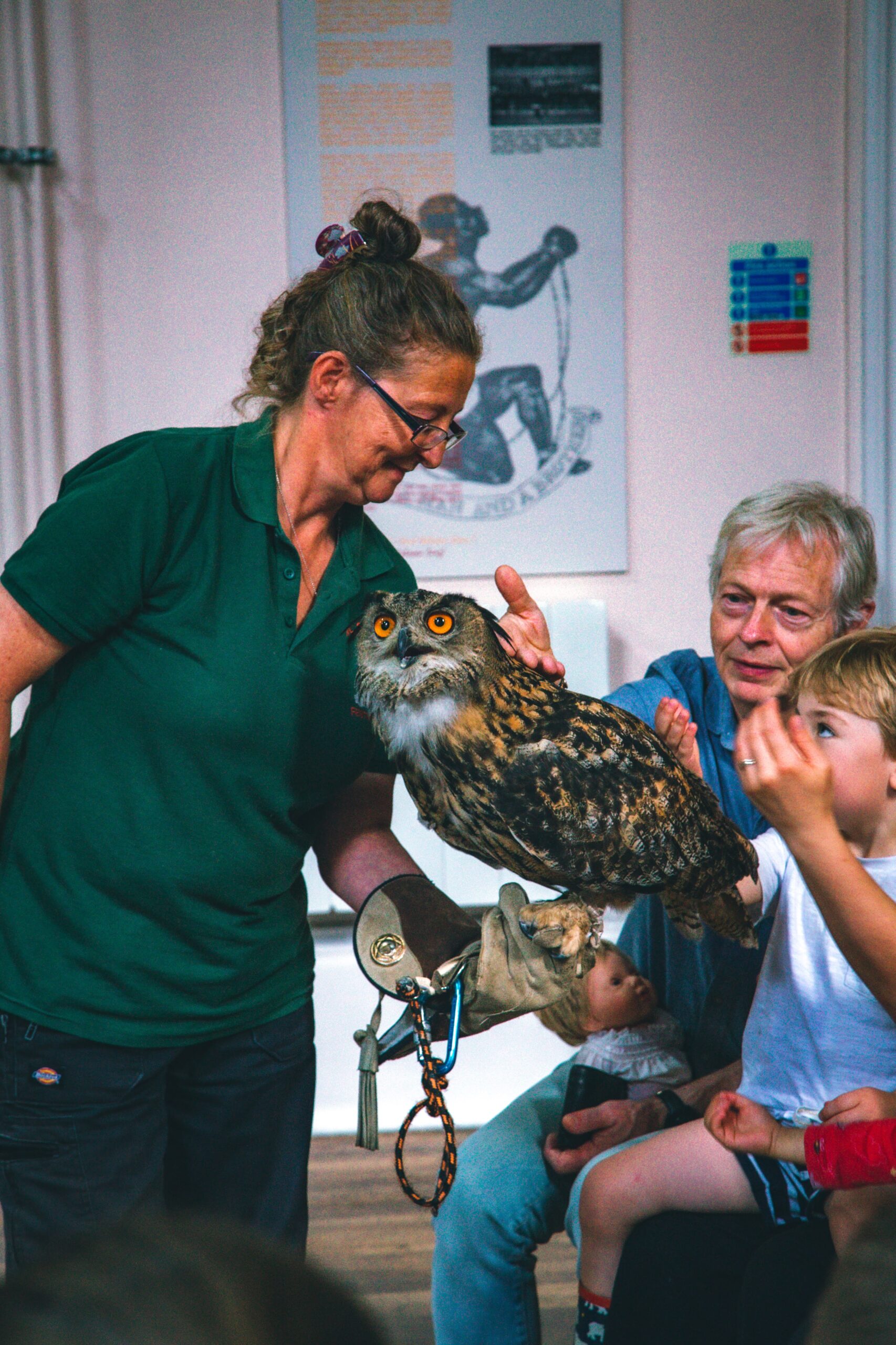 PAST EVENT: Encounter with Owls - EVI | Ebbw Vale Institute